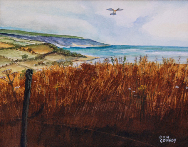 Windhover – Don Conroy