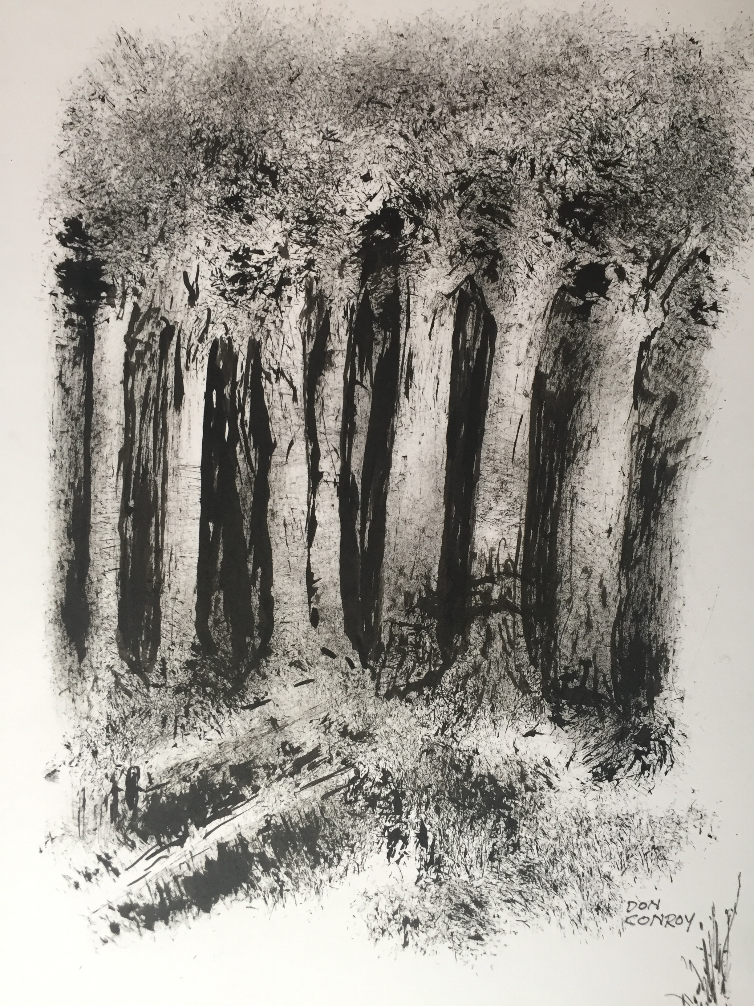 img_4653 – Don Conroy