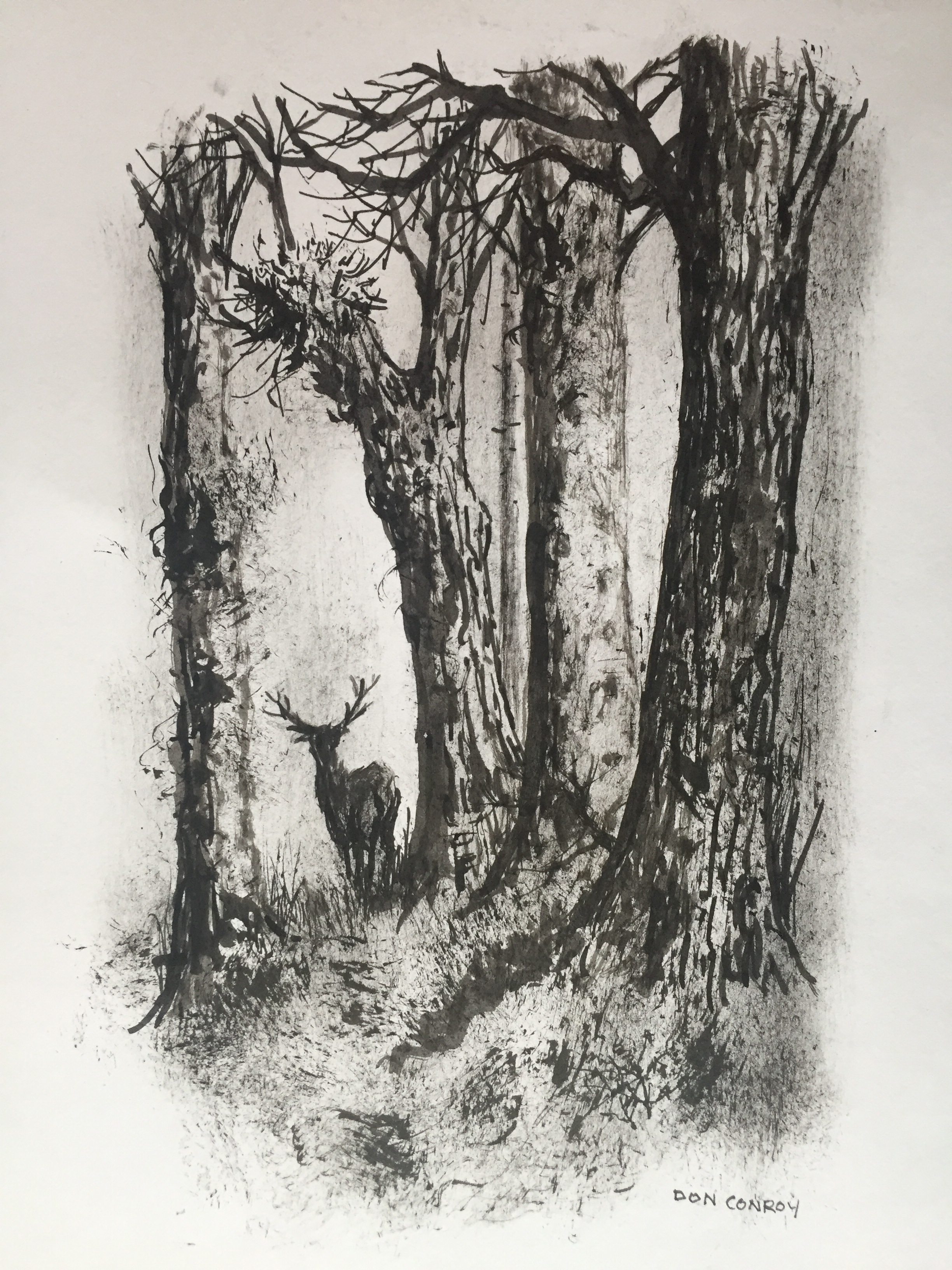 img_4656 – Don Conroy