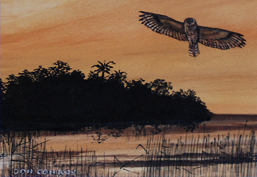 dont put up – Don Conroy