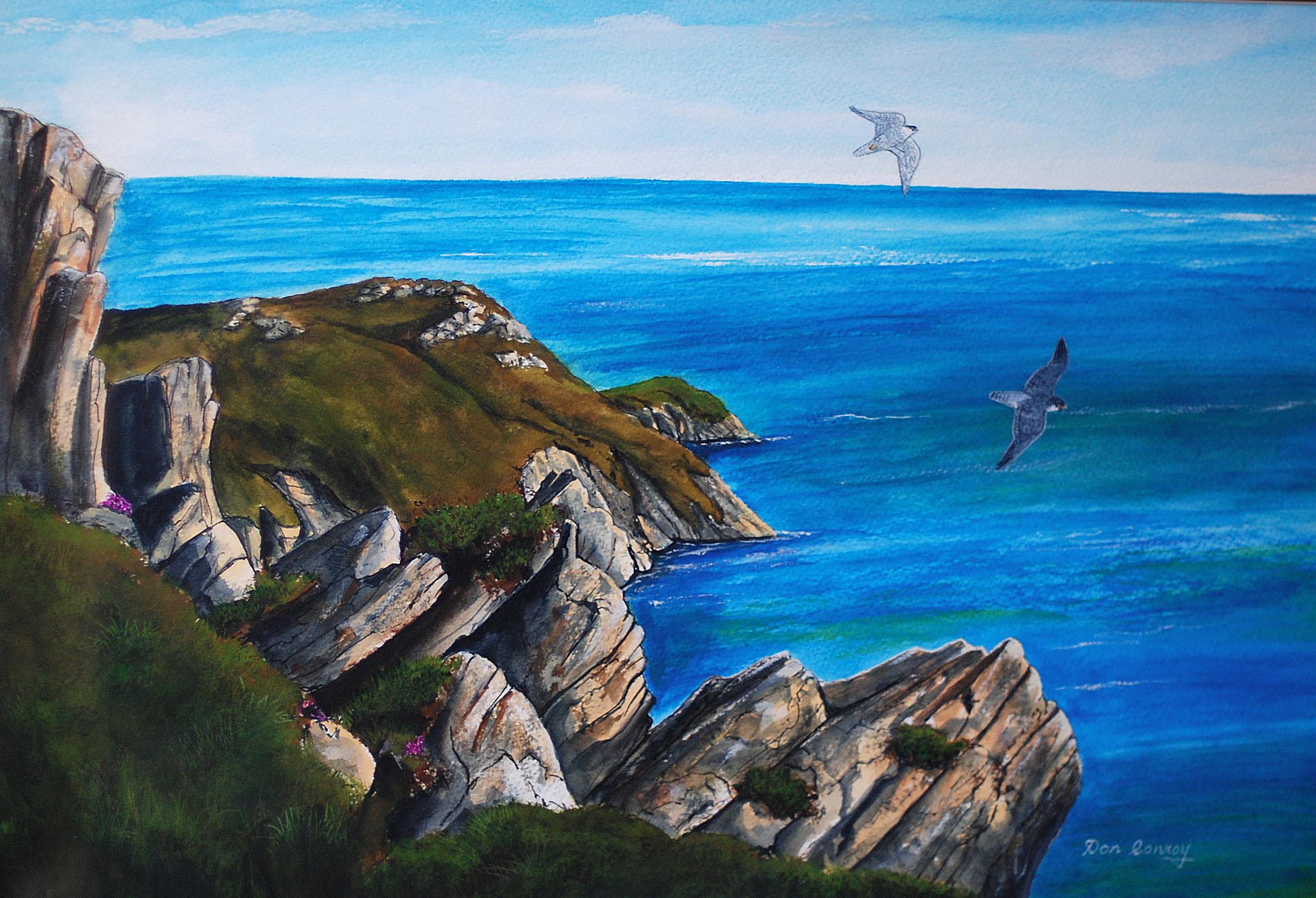 peregrines over cliffs gouache – Don Conroy