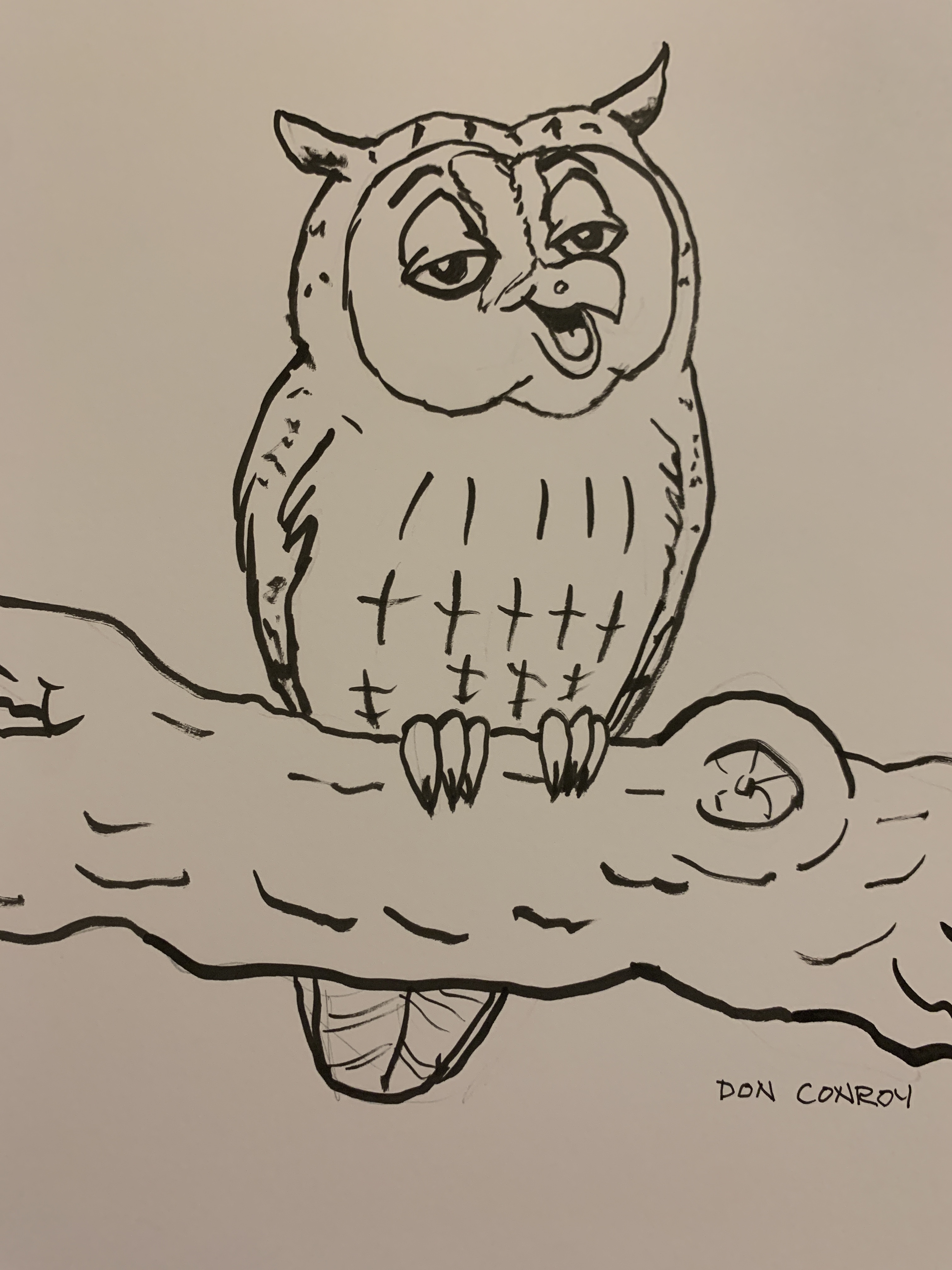 Black and White Long-Eared Owl – Don Conroy